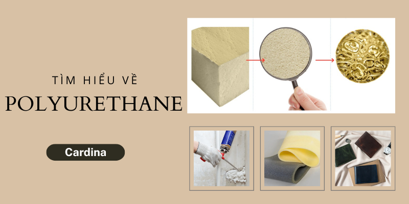 Polyurethane là gì? Ưu nhược điểm và ứng dụng của PU trong cuộc sống