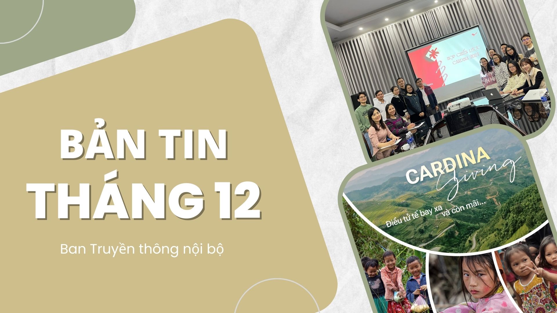 BẢN TIN TỔNG HỢP CARDINA THÁNG 12/2023