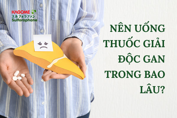 Nên uống thuốc giải độc gan trong bao lâu để đạt hiệu quả tốt nhất ...
