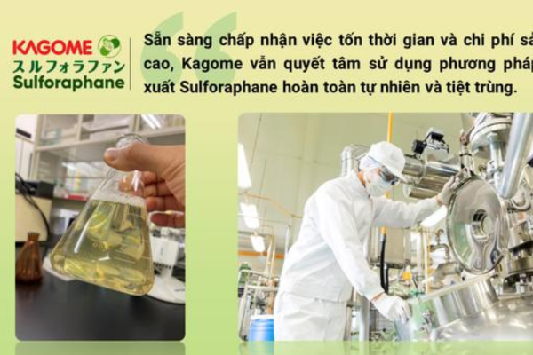 Quy Trình Sản Xuất Viên Uống Bảo Vệ Gan Sulforaphane Kagome – Kagome Sulforaphane - TPBVSK GAN ...
