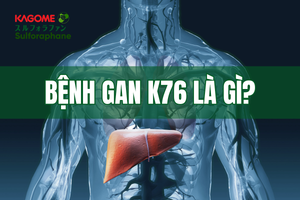 Bệnh Gan K76 là gì? Tất tần tật thông tin cần biết – Kagome Sulforaphane - TPBVSK GAN số 1 từ ...