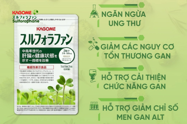 Viên uống giải độc Gan Sulforaphane Kagome có tốt không? – Kagome Sulforaphane - TPBVSK GAN số 1 ...