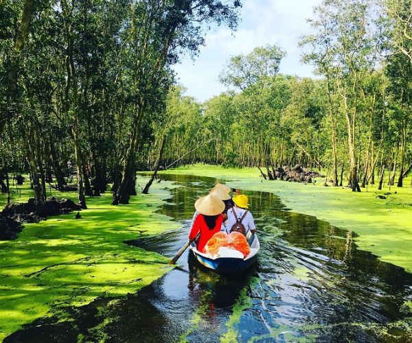 Rừng U Minh - Khu rừng có vẻ đẹp thiên nhiên trù phú – Cho thuê xe 7, 16, 29, 34, 45 chỗ, xe ...