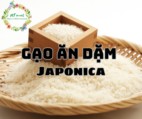 Gạo ăn dặm - Gạo giống Nhật Japonica – NT Mart