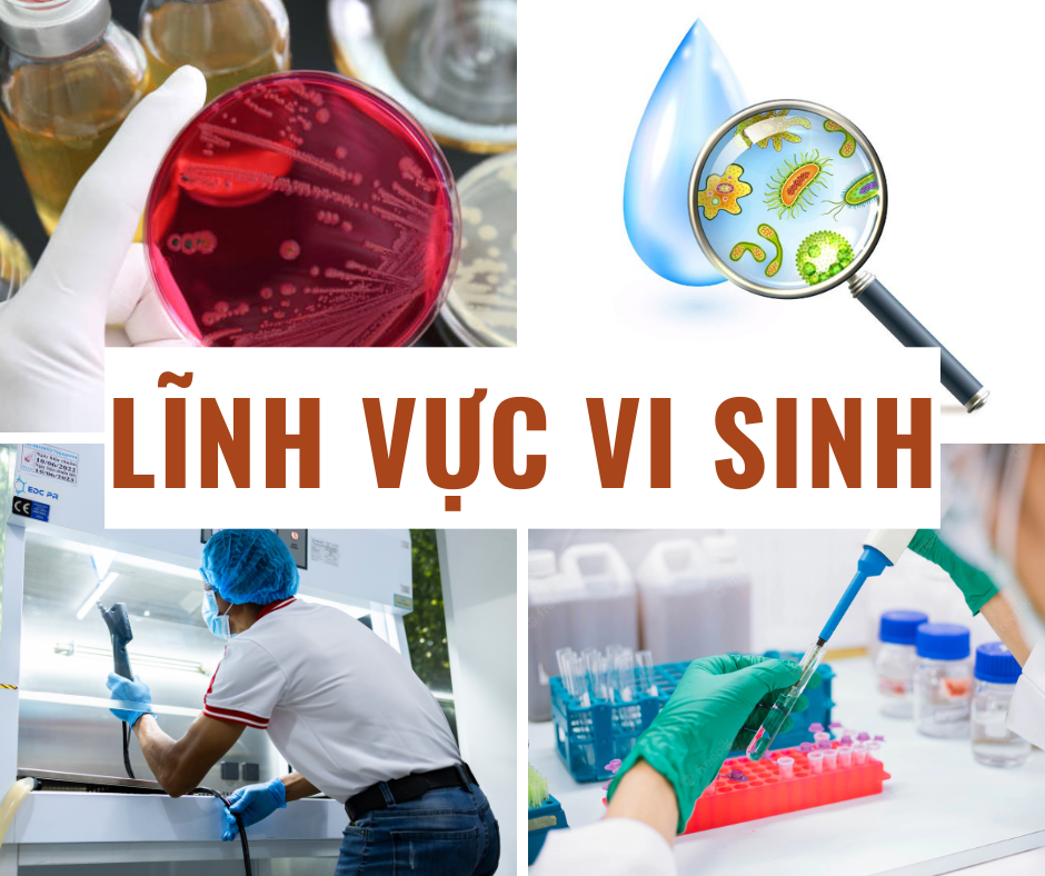 Lĩnh vực Vi sinh – Trung Tâm Đào Tạo và Phát Triển Sắc Ký (EDC-HCM)