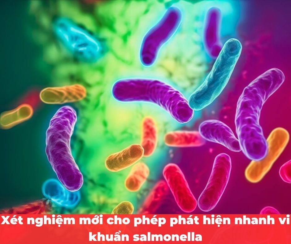 Xét nghiệm mới cho phép phát hiện nhanh vi khuẩn salmonella – Trung Tâm ...
