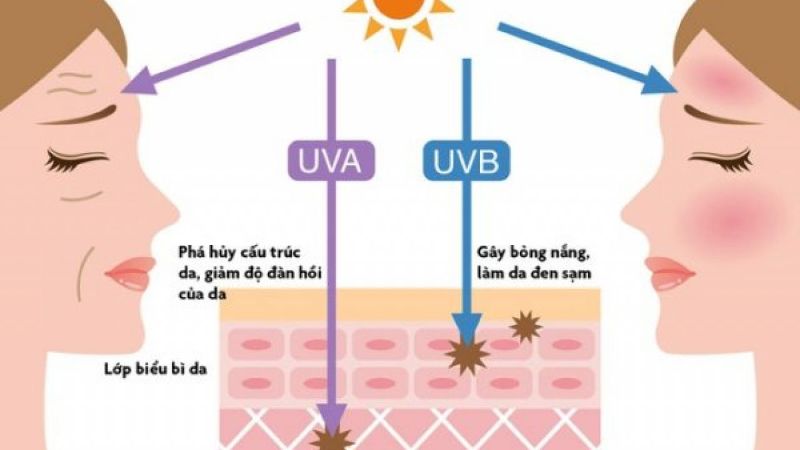 Tia UV là gì ? Tia UV có tác hại như thế nào với sức khỏe ? – Doll Eyes