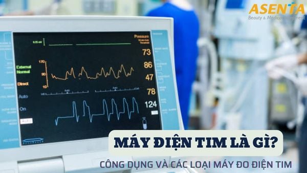 Máy điện tim là gì? Công dụng và các loại máy đo điện tim – Asenta.vn