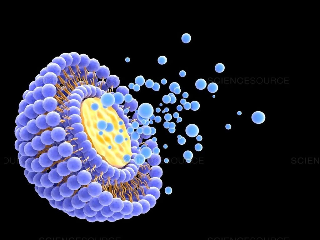 Review Kem Nền An Toàn Dr. Baumann Được Ưa Chuộng Nhất Tại Đức – Dr ...