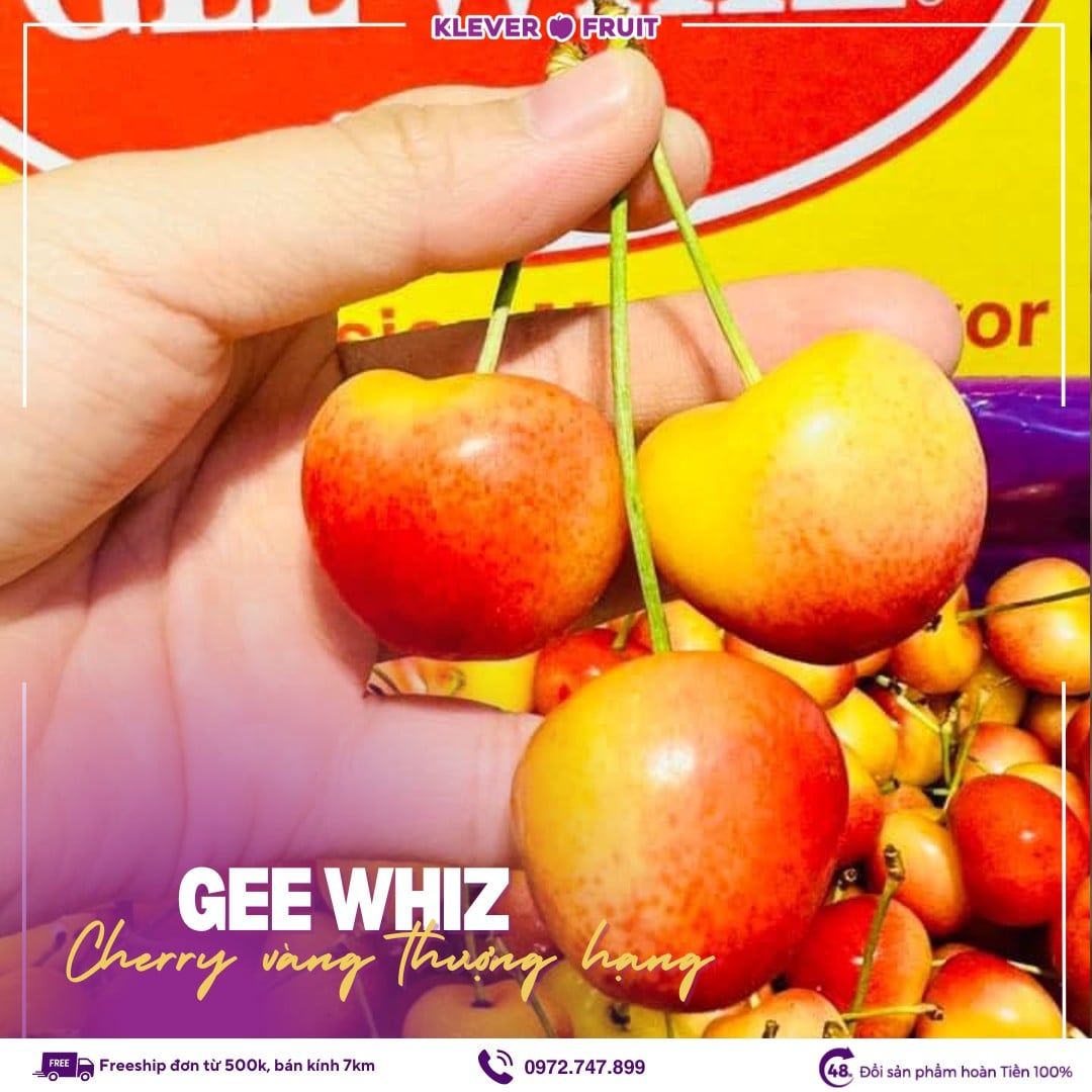 Khám Phá Cherry Vàng Mỹ – Viên Ngọc Quý tại Klever Fruit
