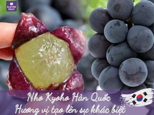 Nho Rượu Kyoho Hàn Quốc – Hương Vị Độc Lạ Cho Người Sành Ăn