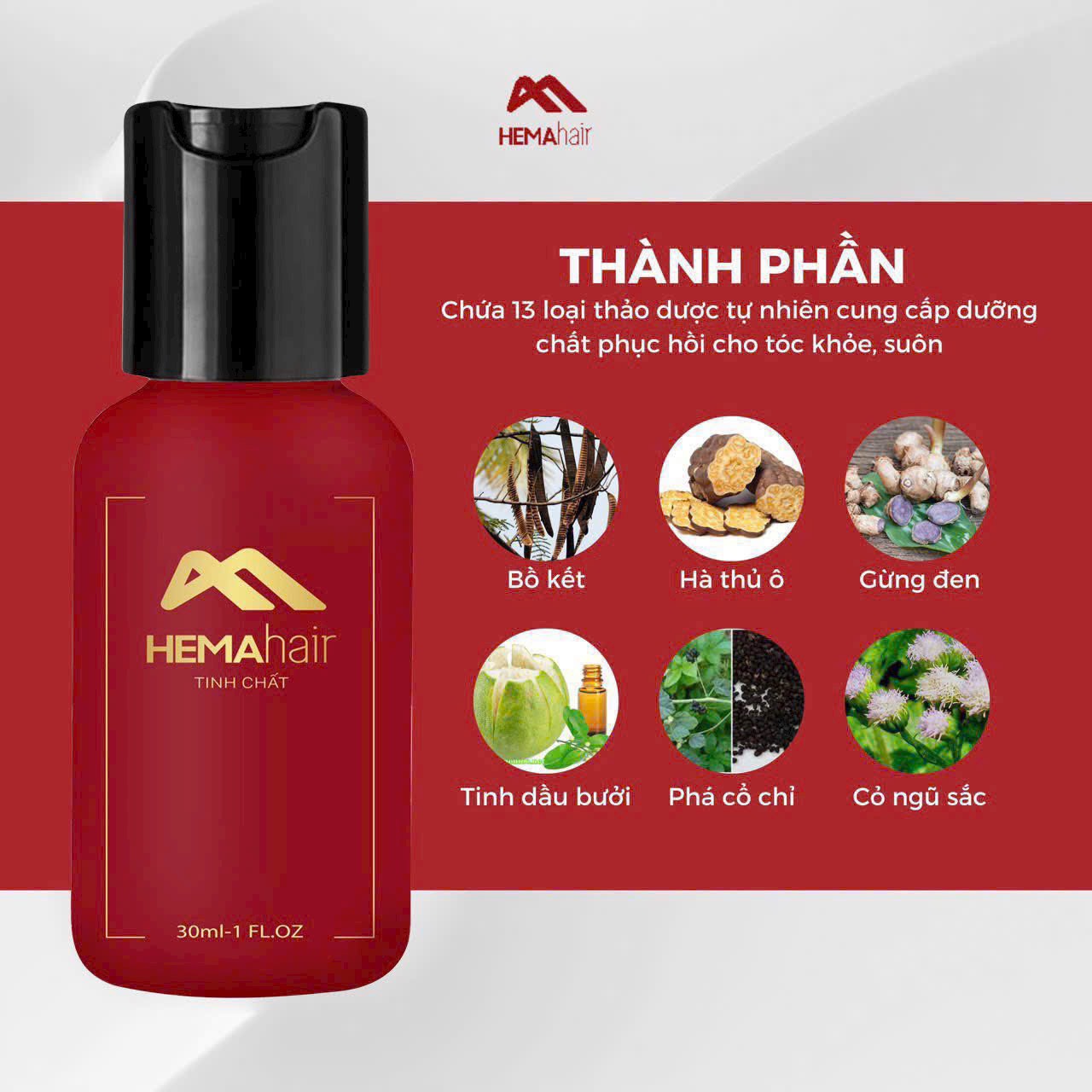 HEMA VIỆT NAM