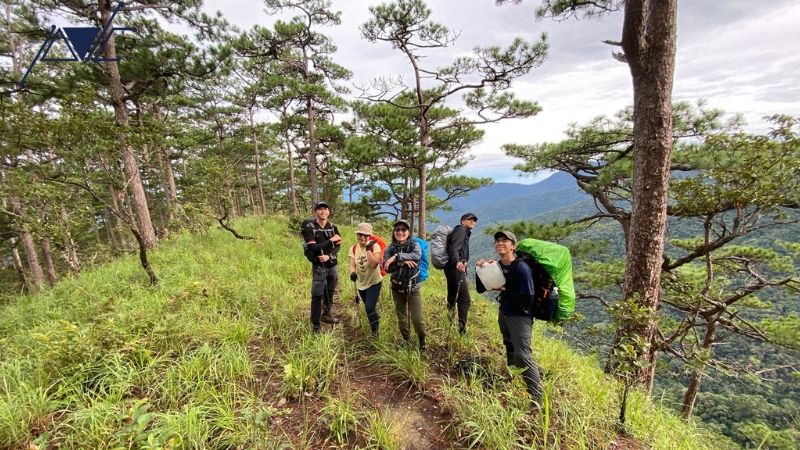 Top địa điểm tổ chức trekking kết hợp team building gần TP.HCM – PDC Event Solutions