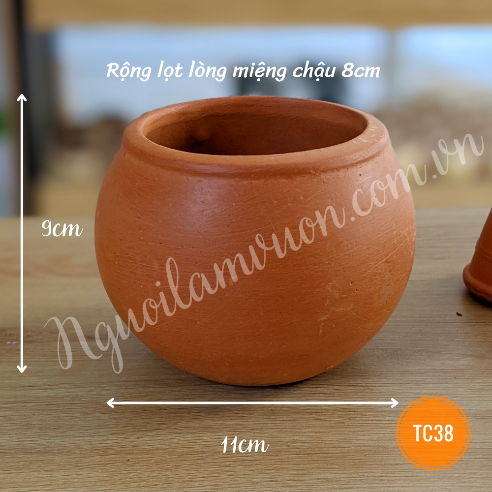 Chậu trồng cây bằng đất nung kiểu tròn xinh xắn lên màu đẹp – NGƯỜI LÀM ...
