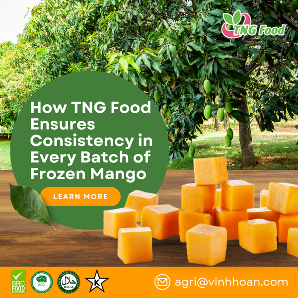 Brix & Ripeness Control for High-Quality IQF Mango | TNG Food – Vinh ...