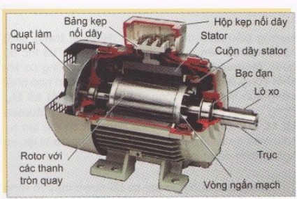 ĐỘNG CƠ KHÔNG ĐỒNG BỘ BA PHA