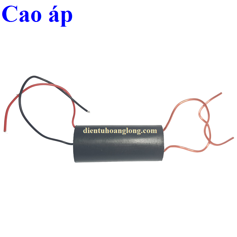 2C. MODULE KHÁC – ĐIỆN TỬ HOÀNG LONG