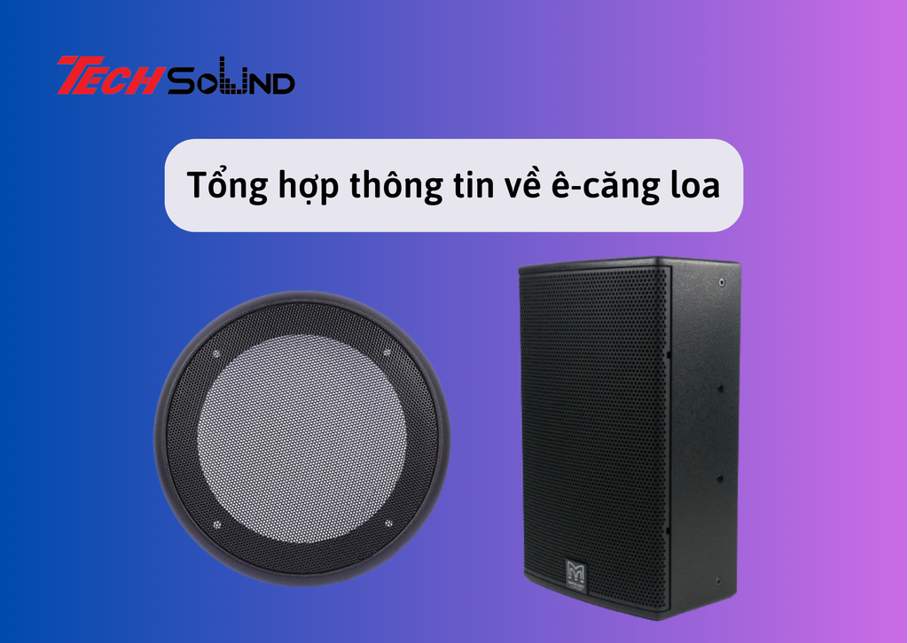 Tổng hợp thông tin cần biết về ê-căng loa