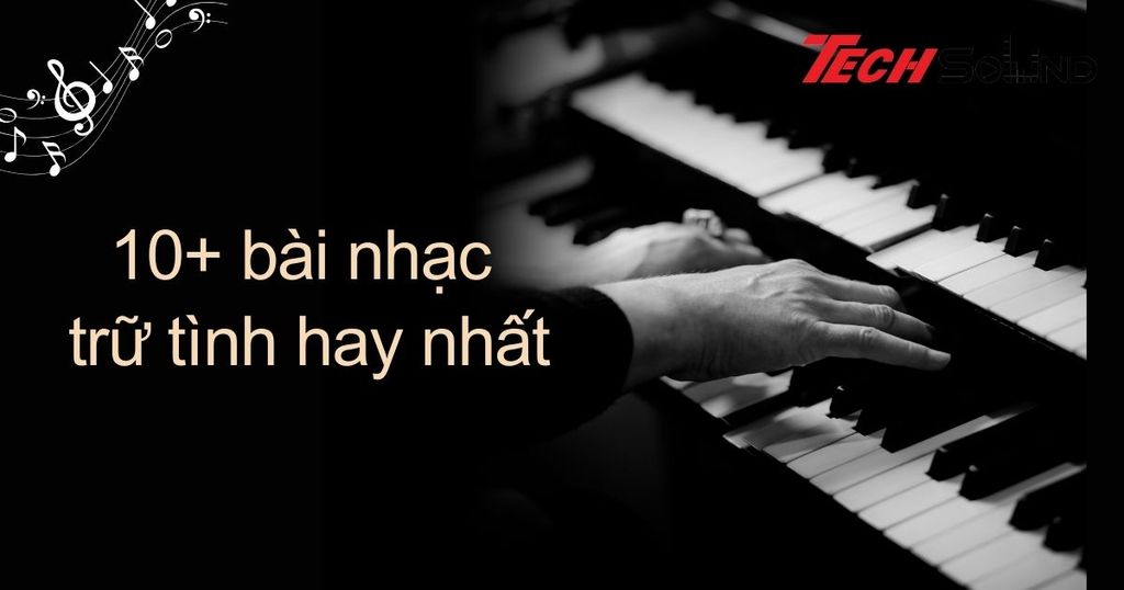 10 Bài Hát Nhạc Trữ Tình Hay Nhất Năm 2024