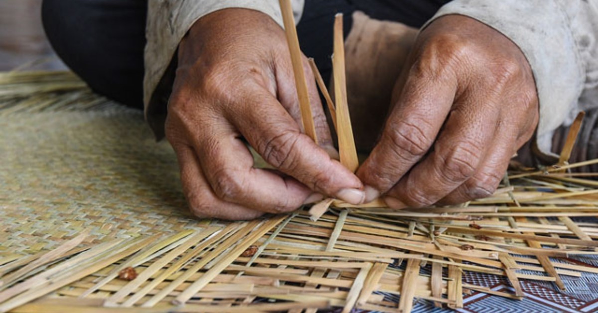 Quy trình chế biến sản phẩm từ cây cỏ bàng – Green Craft - Miền Tây Xanh