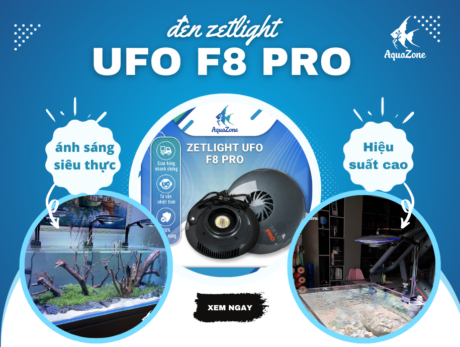 Giới Thiệu Về Đèn Zetlight UFO F8 PRO Đang Được Yêu Thích Hiện Nay ...