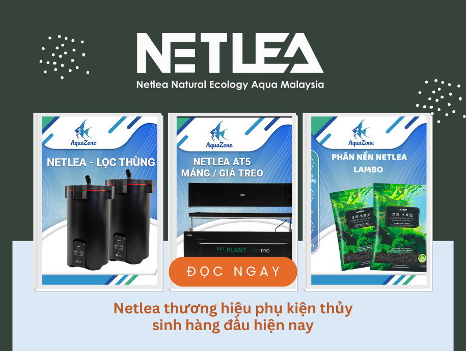 Thương Hiệu Netlea Phụ Kiện Thủy Sinh Hàng Đầu Hiện Nay - AquaZone ...