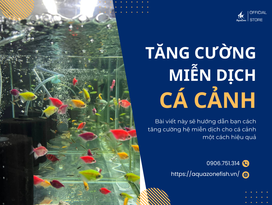 Cách Tăng Cường Hệ Miễn Dịch Cho Cá Cảnh - AquaZone - Siêu thị cá cảnh