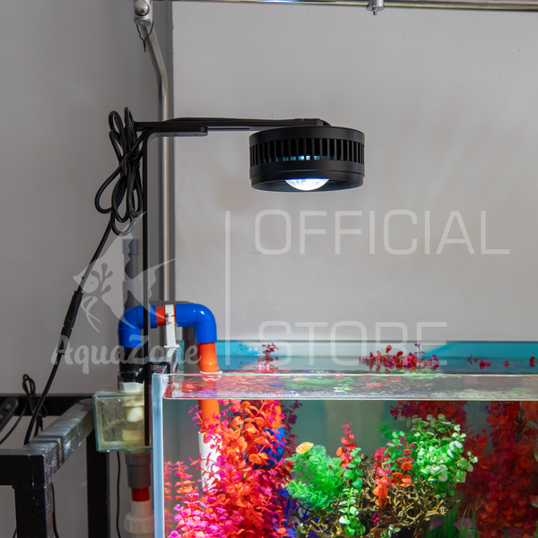Đèn led Riverside FLATLIGHT hiệu ứng ánh sáng siêu mạnh, đèn kết hợp t - AquaZone - Siêu thị cá cảnh