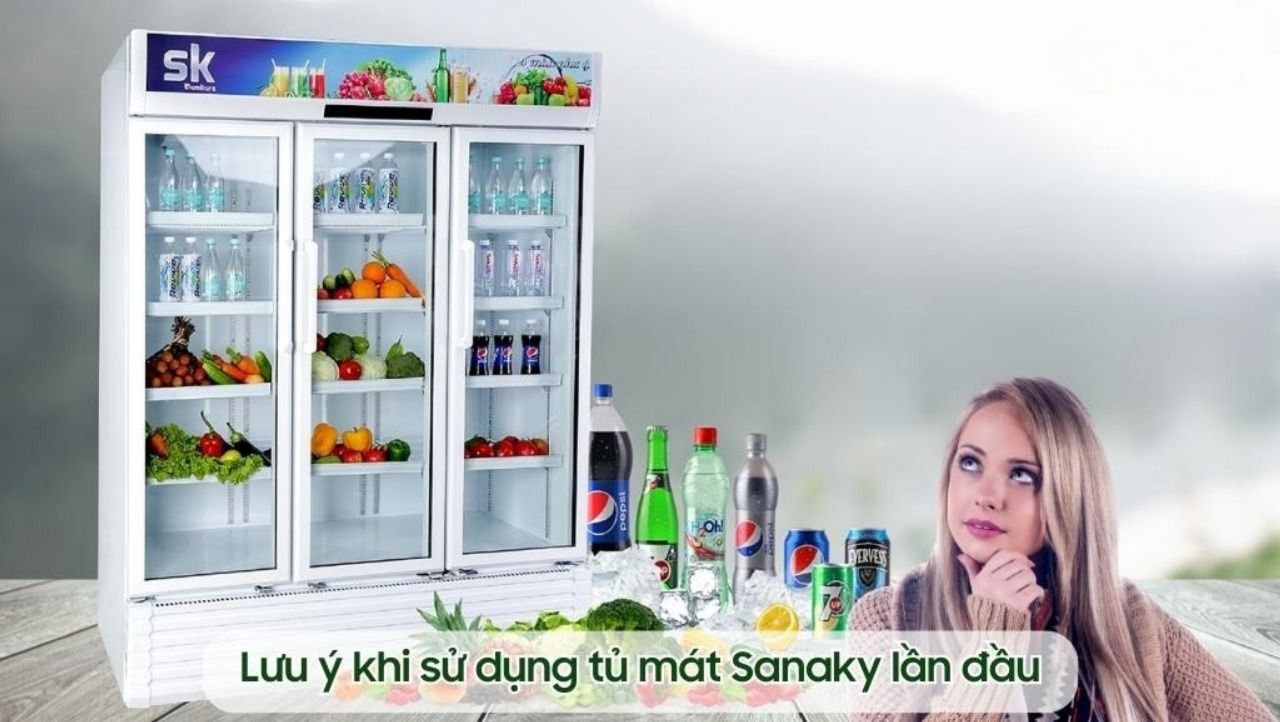 Nên mua tủ mát Sanaky 1 cánh hay 2 cánh?