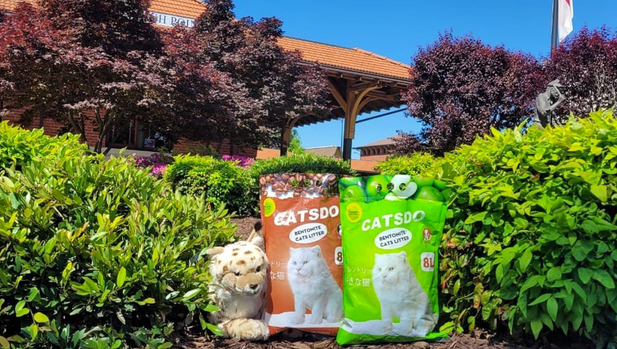 Cát mèo CATSDO đến NEW YORK – foodPET