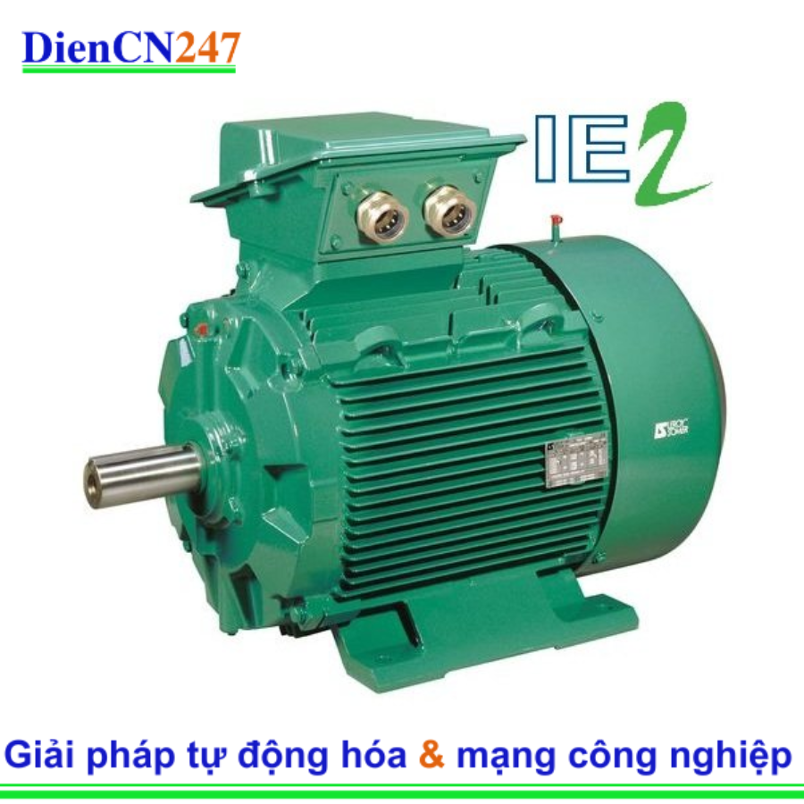 Nidec FLSES 355 LD 315.0kW IFT /IE3 – Điện Công Nghiệp 247 - DienCN247