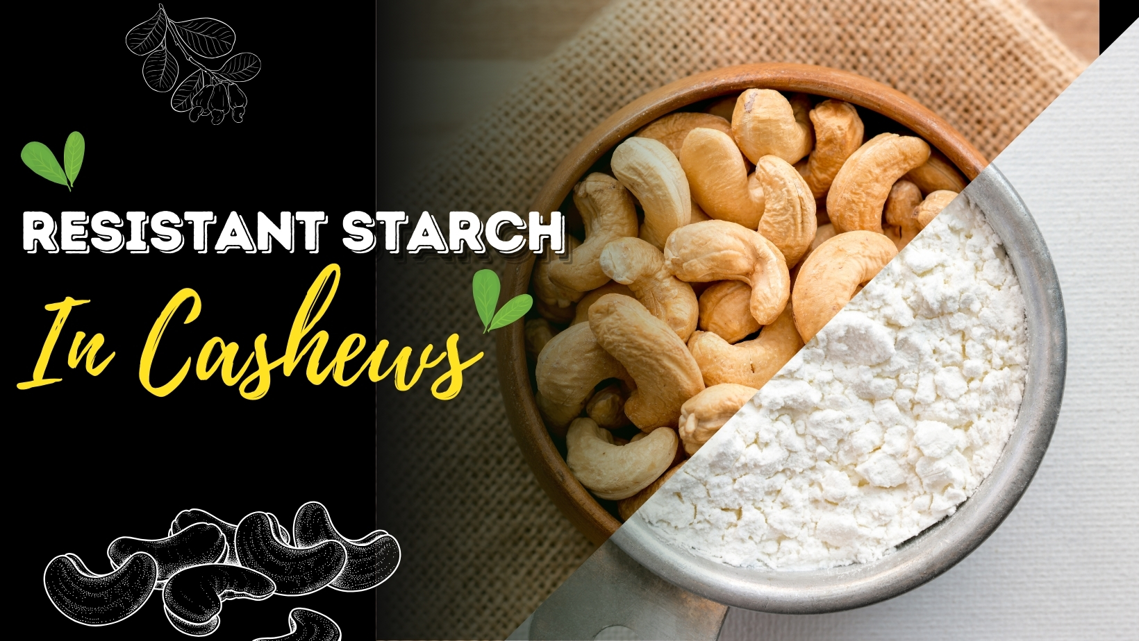How Much Resistant Starch In Cashews ? – OTIS BÌNH PHƯỚC