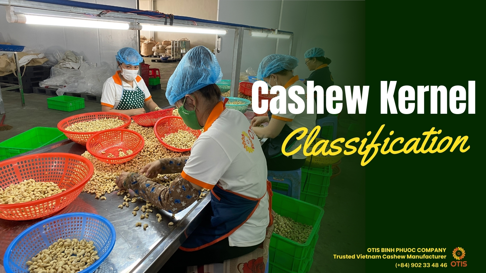 How Many Ways to Classify Cashew Kernels? A Detailed Guide – OTIS BÌNH ...
