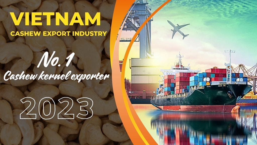 Vietnam Cashew Export [Comprehensive Overview] – OTIS BÌNH PHƯỚC