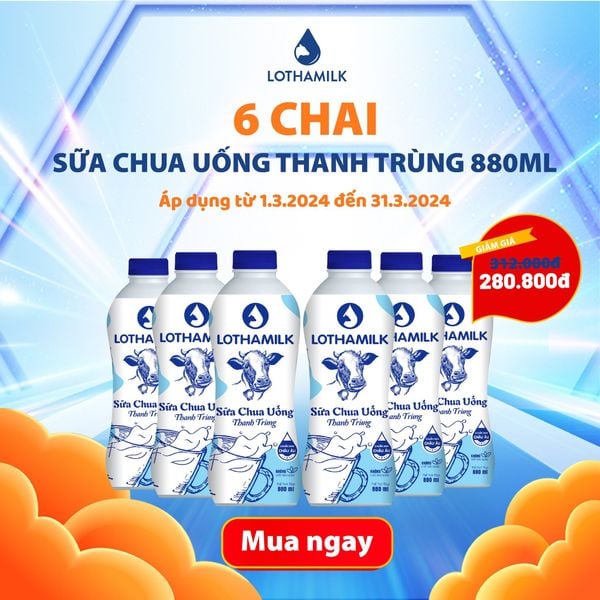 Combo Mix 6 chai Sữa chua uống thanh trùng có đường 880ml và 2 chai Sữ ...