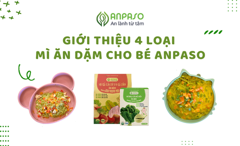 Giới thiệu Mì ăn dặm cho bé Anpaso