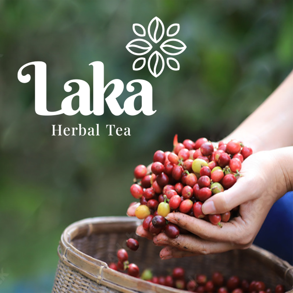 Bài viết mẫu Lakatea