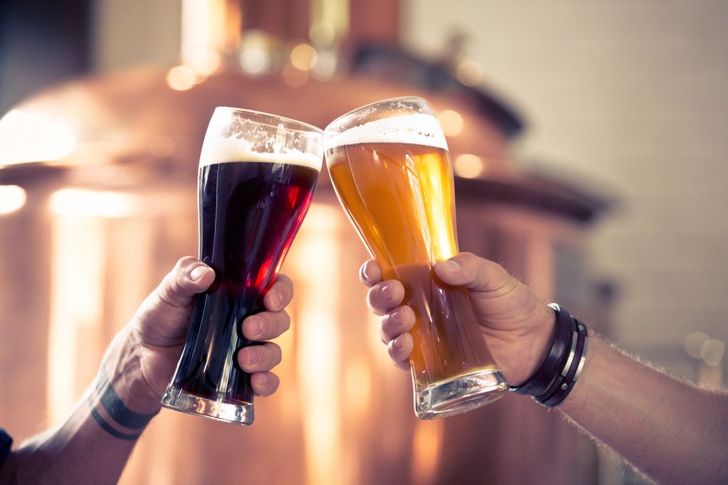 Sự khác biệt giữa Bia LAGER VÀ ALE là gì? – iBiero Craft Beer | Bia thủ ...