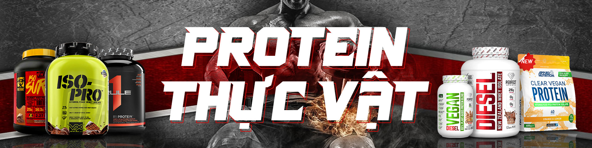 Whey Protetin Thực Vật Chính Hãng Giá Tốt Nhất Tại GymWhey – GymWhey Shop