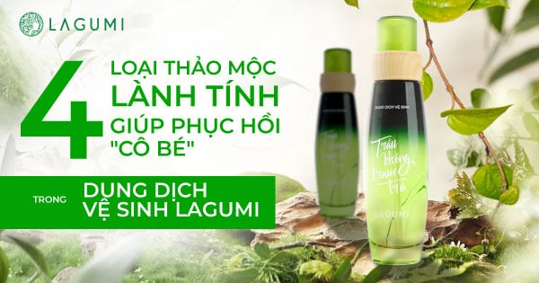 Bốn Loại Thảo Mộc Lành Tính Giúp Phục Hồi "Cô Bé" Trong Dung Dịch Vệ ...