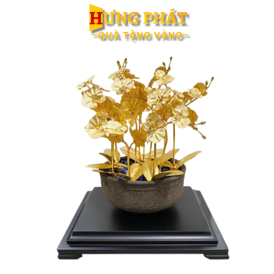 Ý Nghĩa Phong Thủy Của Chậu Hoa Lan 12 Cành Dát Vàng - QUÀ TẶNG VÀNG ...