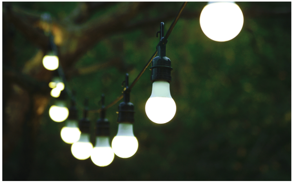 Bóng đèn Led Bulb LOTUS Panasonic