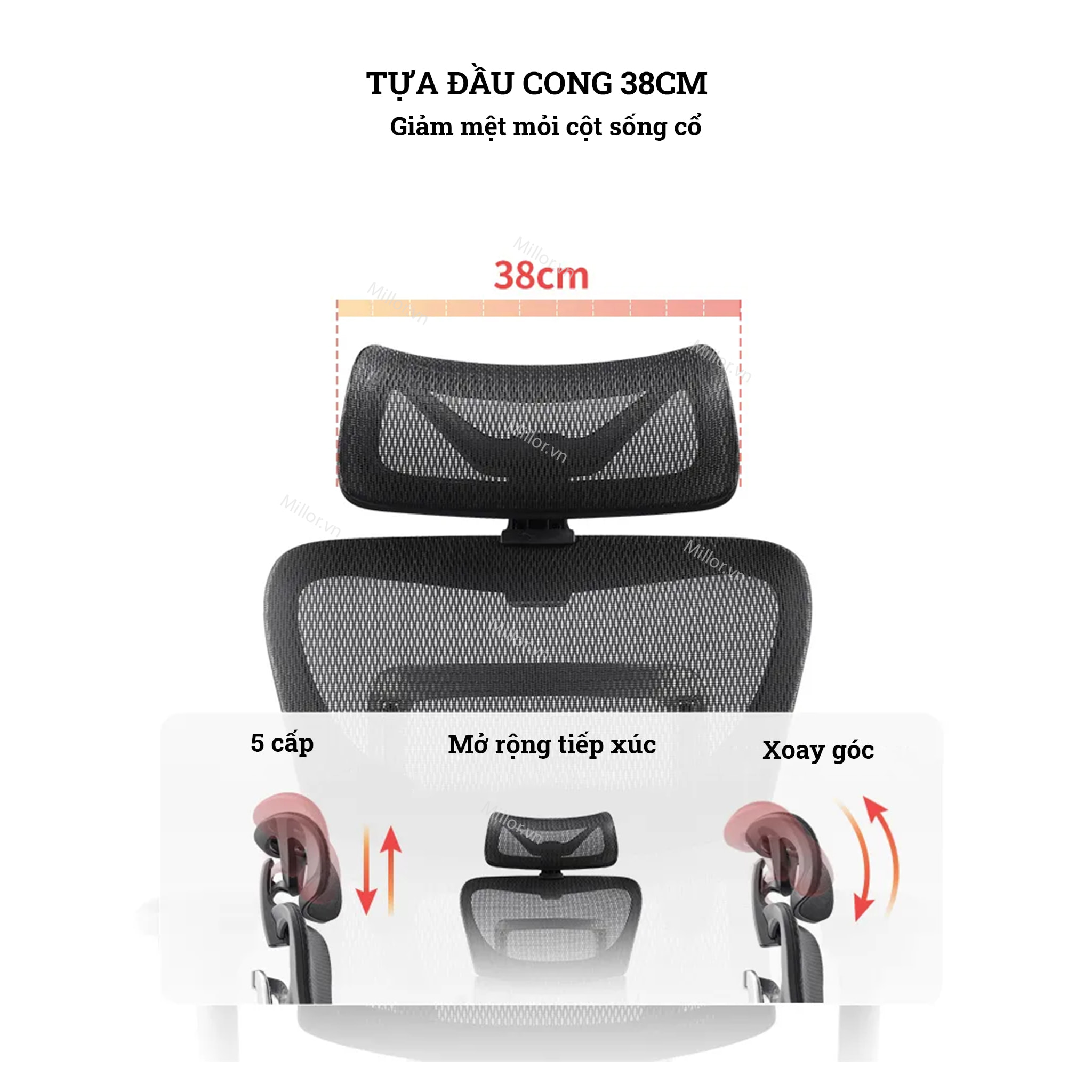 Ghế Công Thái Học FLY PRO 2024 – Millor.vn