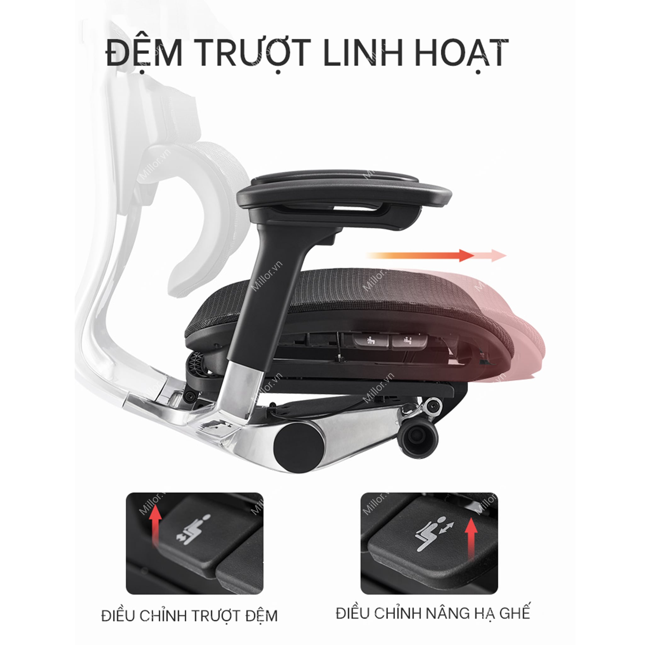 Ghế Công Thái Học FLY PRO 2024 – Millor.vn