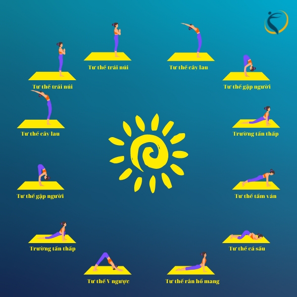 Chuỗi 12 Tư thế chào mặt trời cơ bản trong Yoga – Omi Yoga | Yoga Online