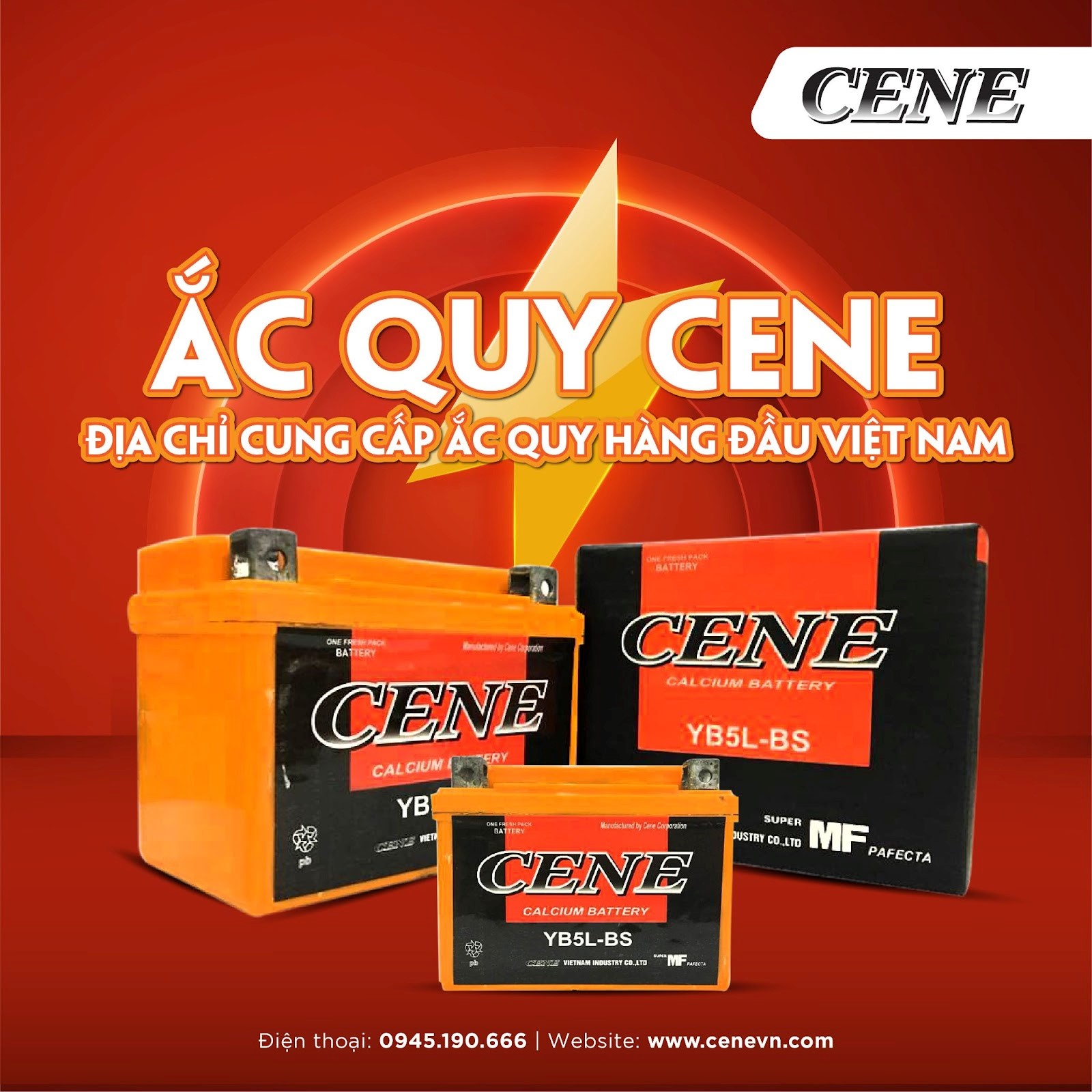 CÔNG TY CỔ PHẦN CENE VIỆT NAM