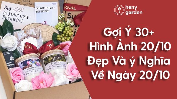 30+ Những Hình Ảnh 20/10 Đẹp Và Ý Nghĩa Về Ngày 20/10