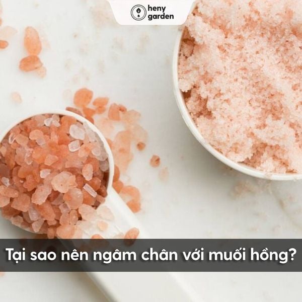 Ngâm Chân Với Gì Cho Đỡ Hôi? Loại Bỏ Mùi Hôi, Tự Tin Mọi Lúc Mọi Nơi
