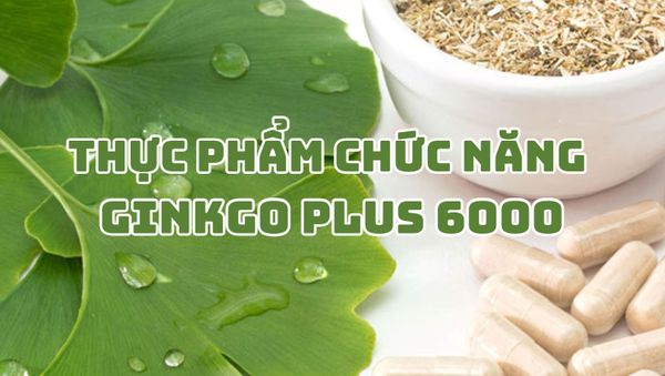 Thực Phẩm Chức Năng Ginkgo Plus 6000 Có Thật Sự Tốt