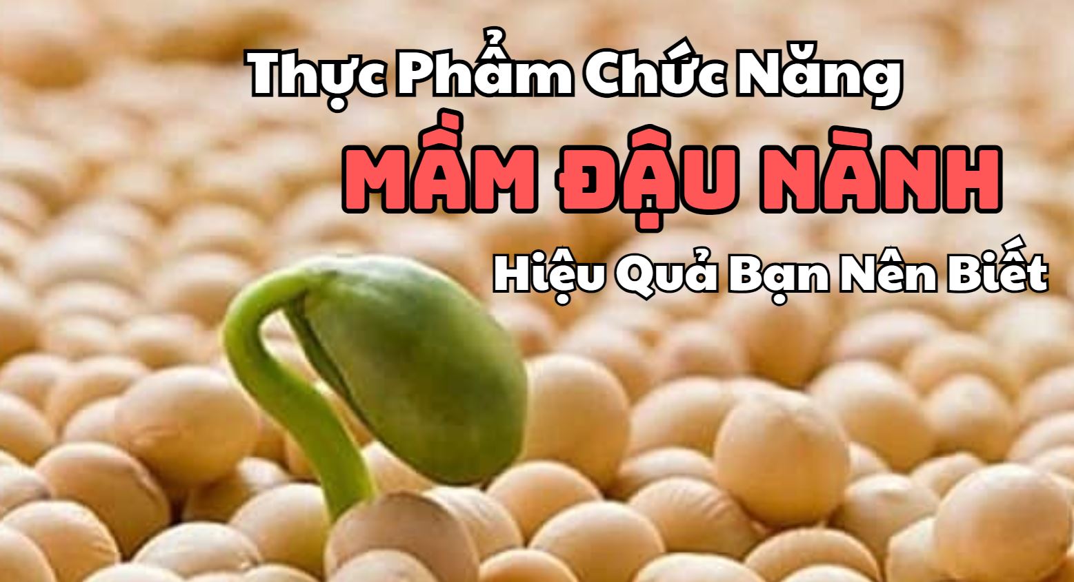 Thực Phẩm Chức Năng Mầm Đậu Nành Hiệu Quả Bạn Nên Biết